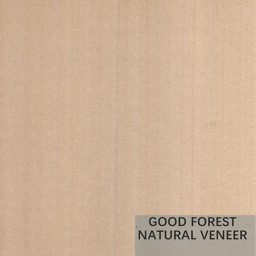 Mappa Tulip Natural Wood Veneer Boxwood Excellent Double Color